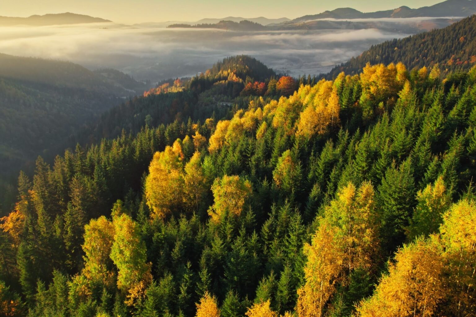 Fall is on the way! | Pediatric Associates of Charlottesville